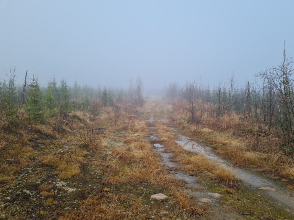 Visit to a greenfield site - Renergy Nordic